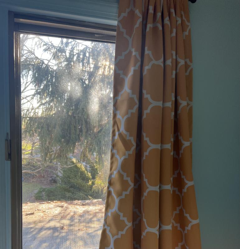 What Do You See From Your Window? | Cape Gazette